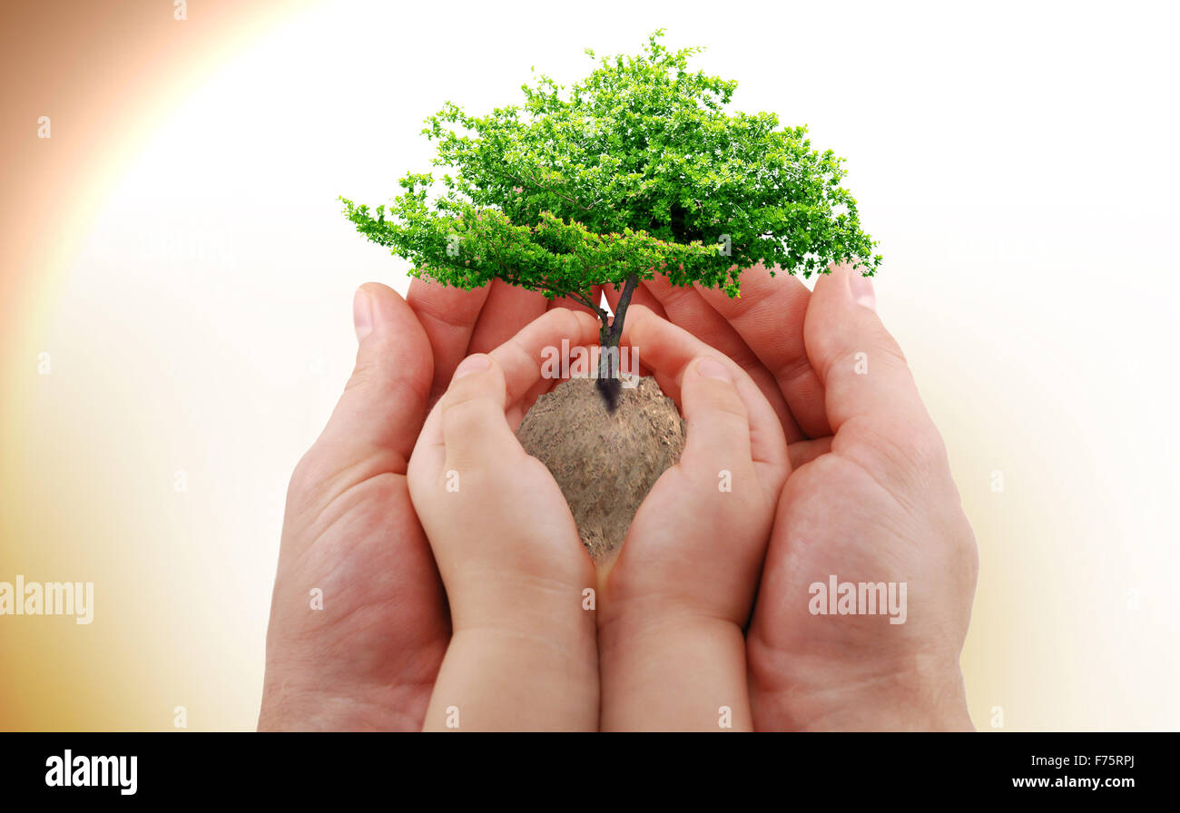 Hands and a tree Stock Photo - Alamy