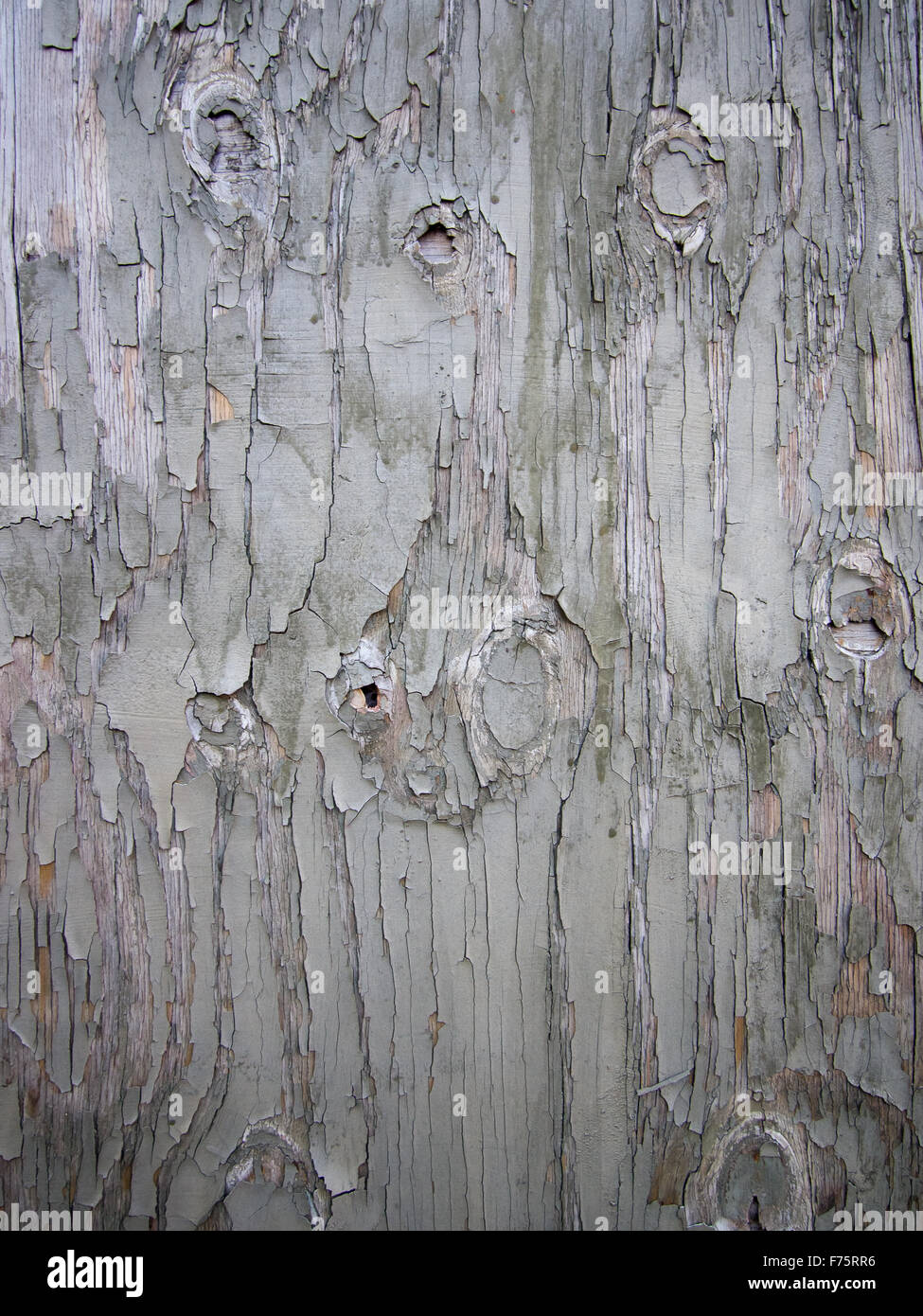 Paint flaking hi-res stock photography and images - Alamy