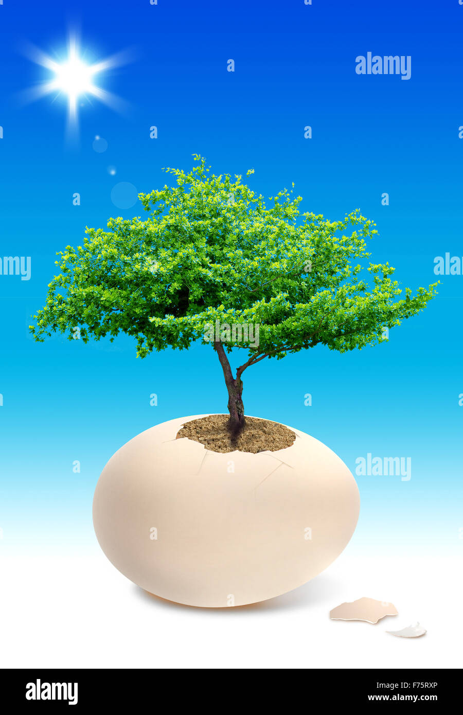 Tree in the egg Stock Photo - Alamy