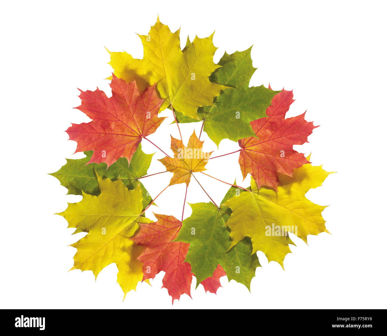 Beautiful dead woman Cut Out Stock Images & Pictures - Alamy