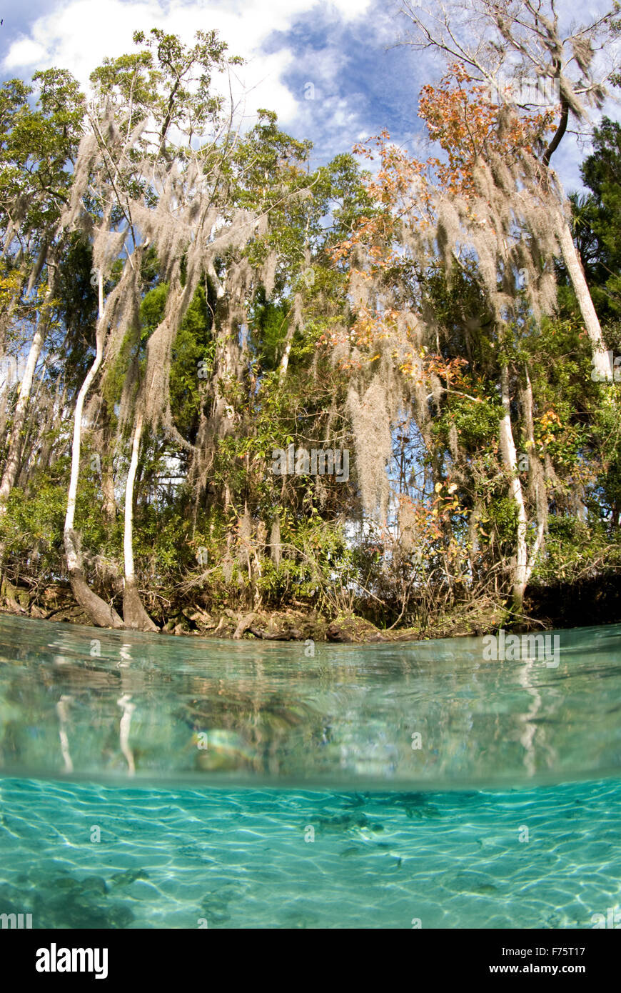 Crystal River Scenic Stock Photo - Alamy