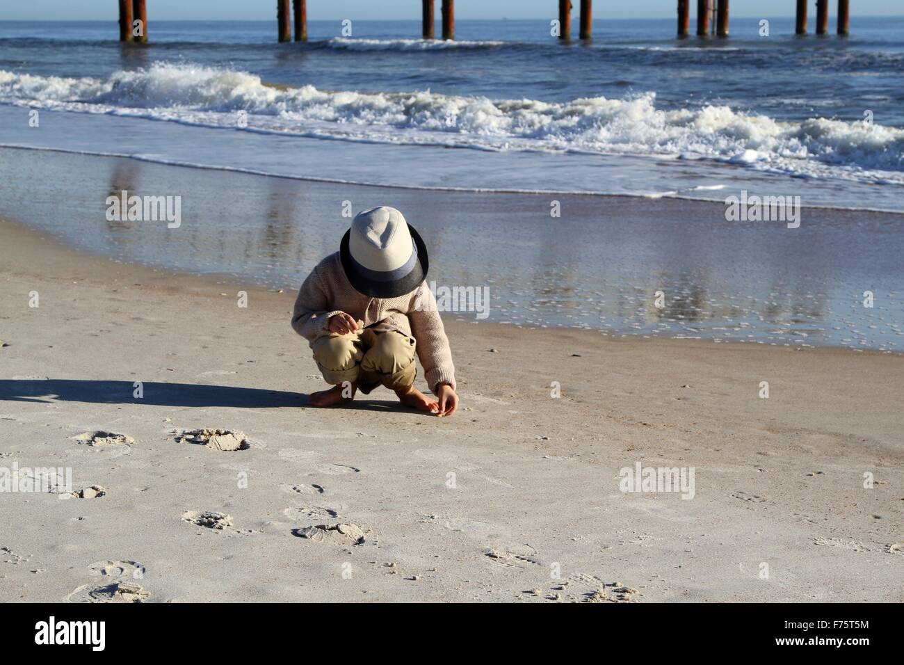 Picking shells hi-res stock photography and images - Alamy