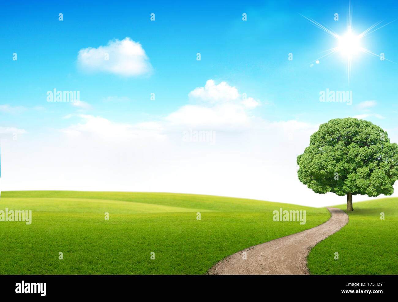 The long path and a tree Stock Photo - Alamy