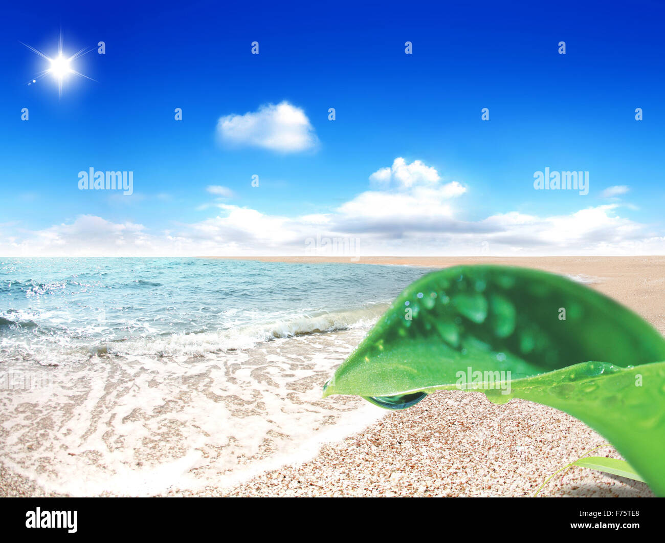 At the seaside Stock Photo - Alamy