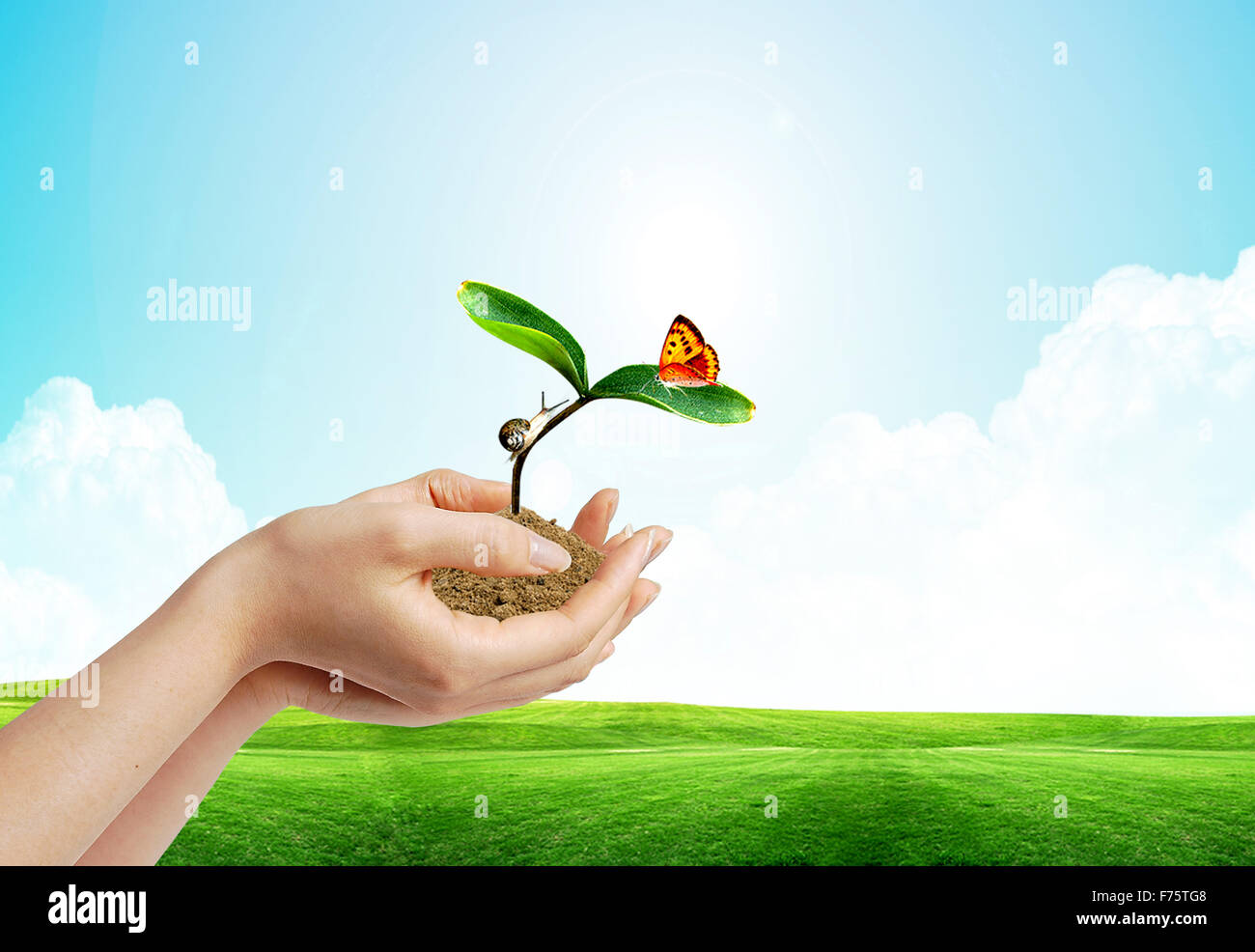 Nature and hand Stock Photo - Alamy