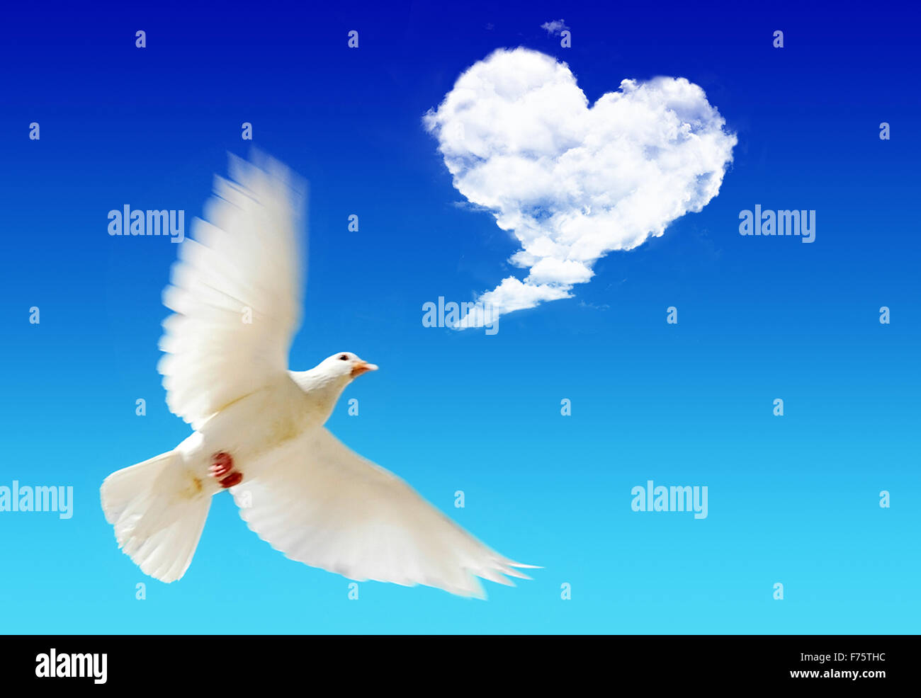 Pigeon and a heart Stock Photo - Alamy