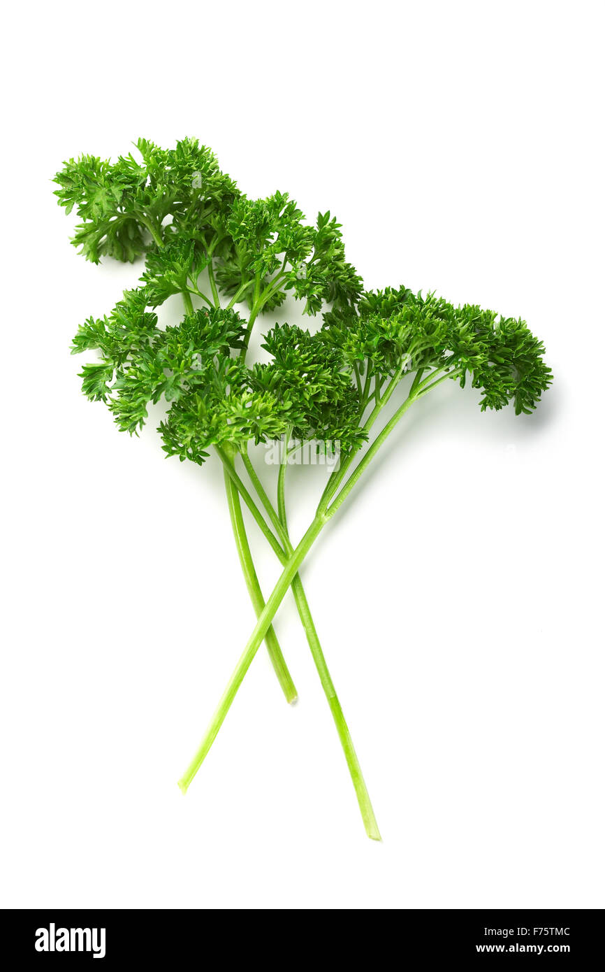 Parsley garnish Cut Out Stock Images & Pictures - Alamy