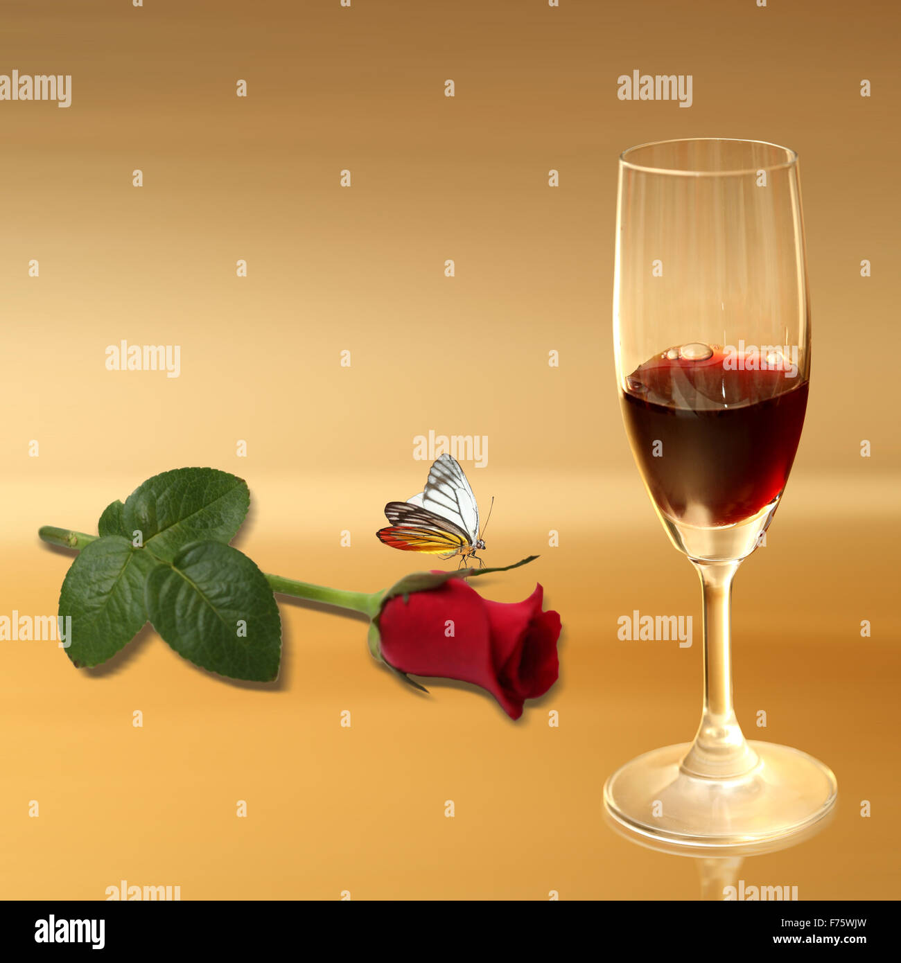 Vine and Rose Stock Photo - Alamy