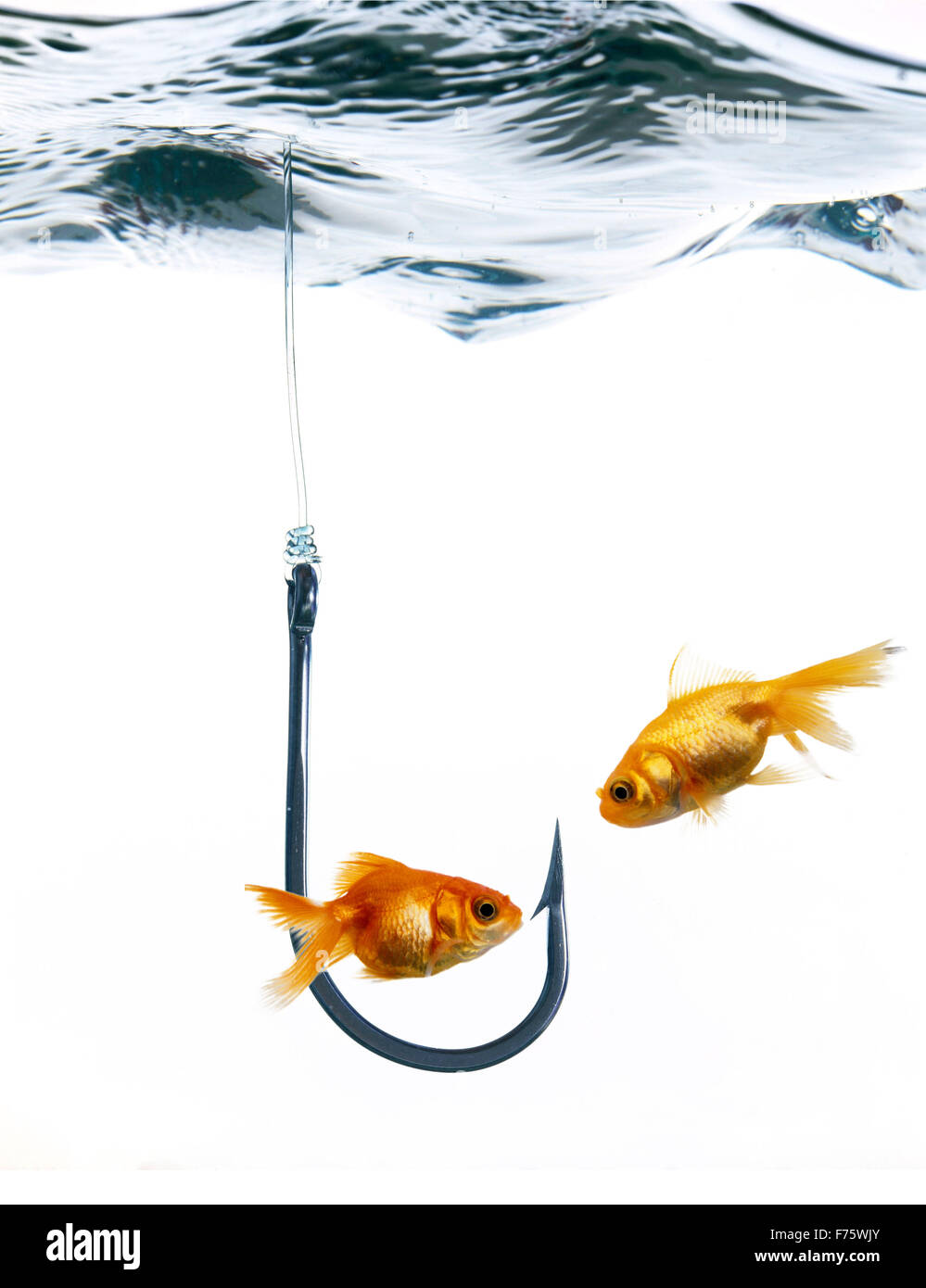 Fishes And Fish Hook Stock Photo - Alamy