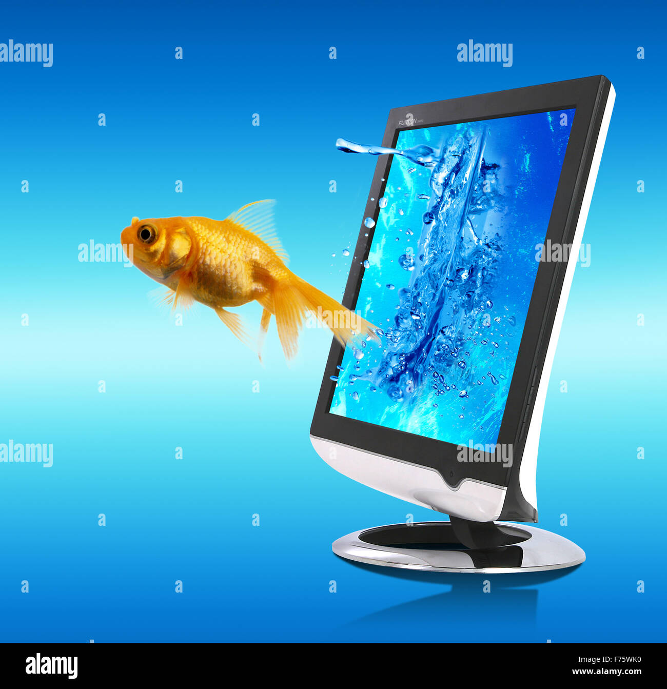 Golden Fish And Screen Stock Photo - Alamy