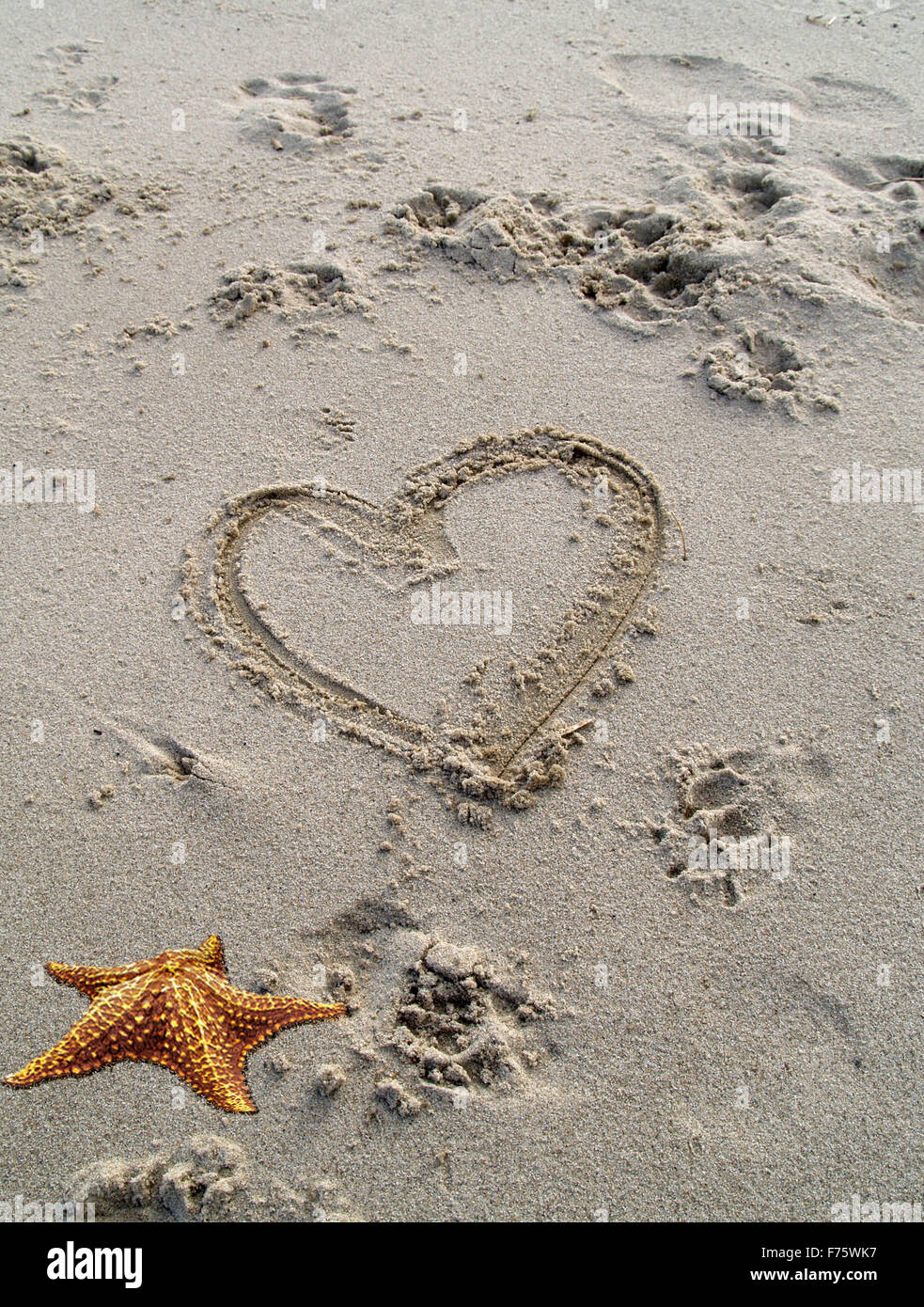 At The Seaside Stock Photo - Alamy