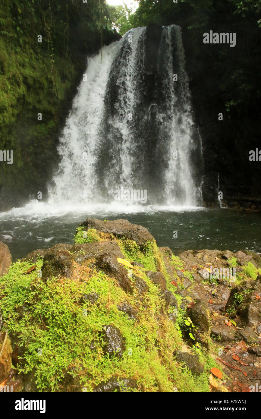 Waterfall in the rainforest along the hiking trail at the Arenal ...