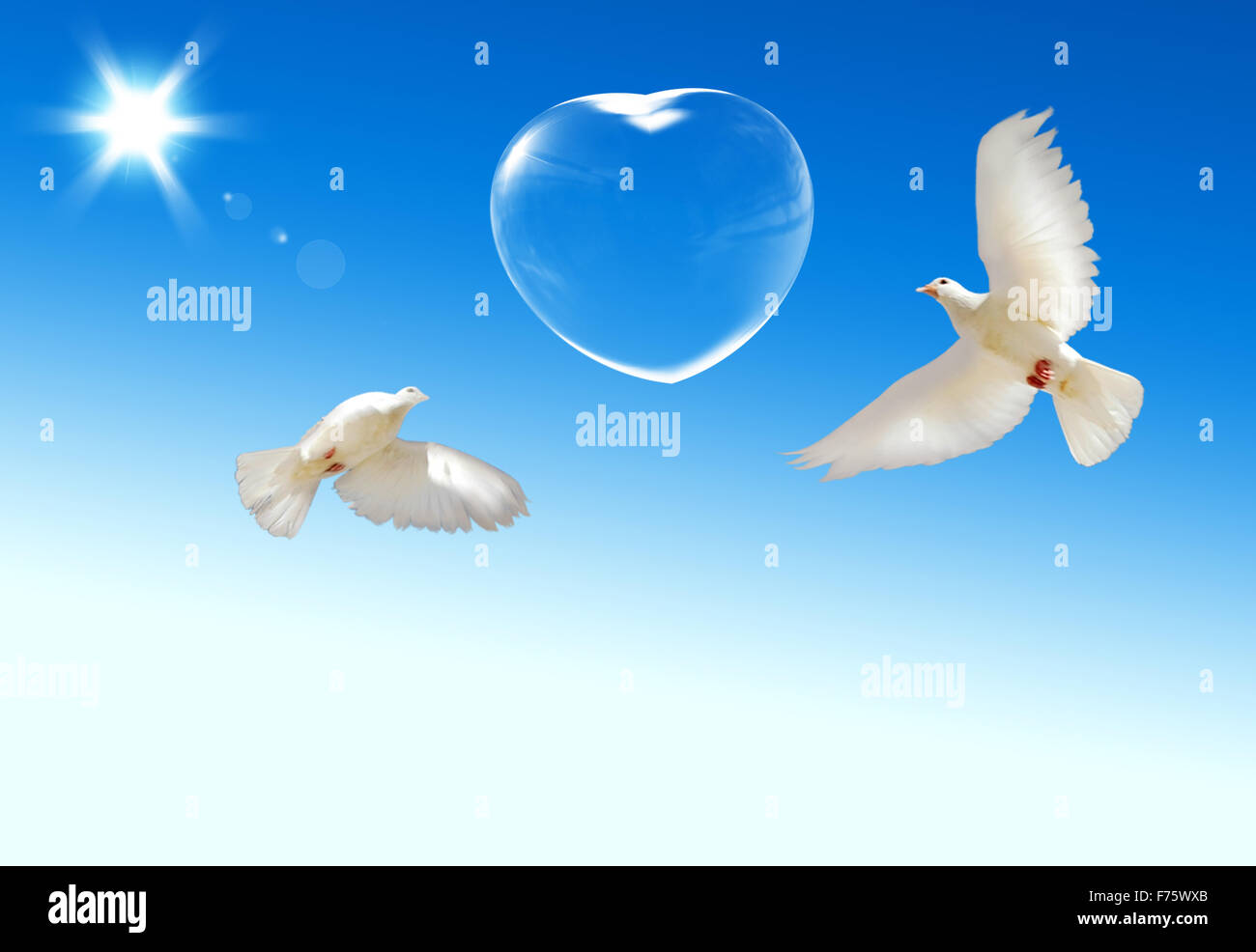 Doves plants hi-res stock photography and images - Alamy Doves plants hi-res stock photography and images - Alamy