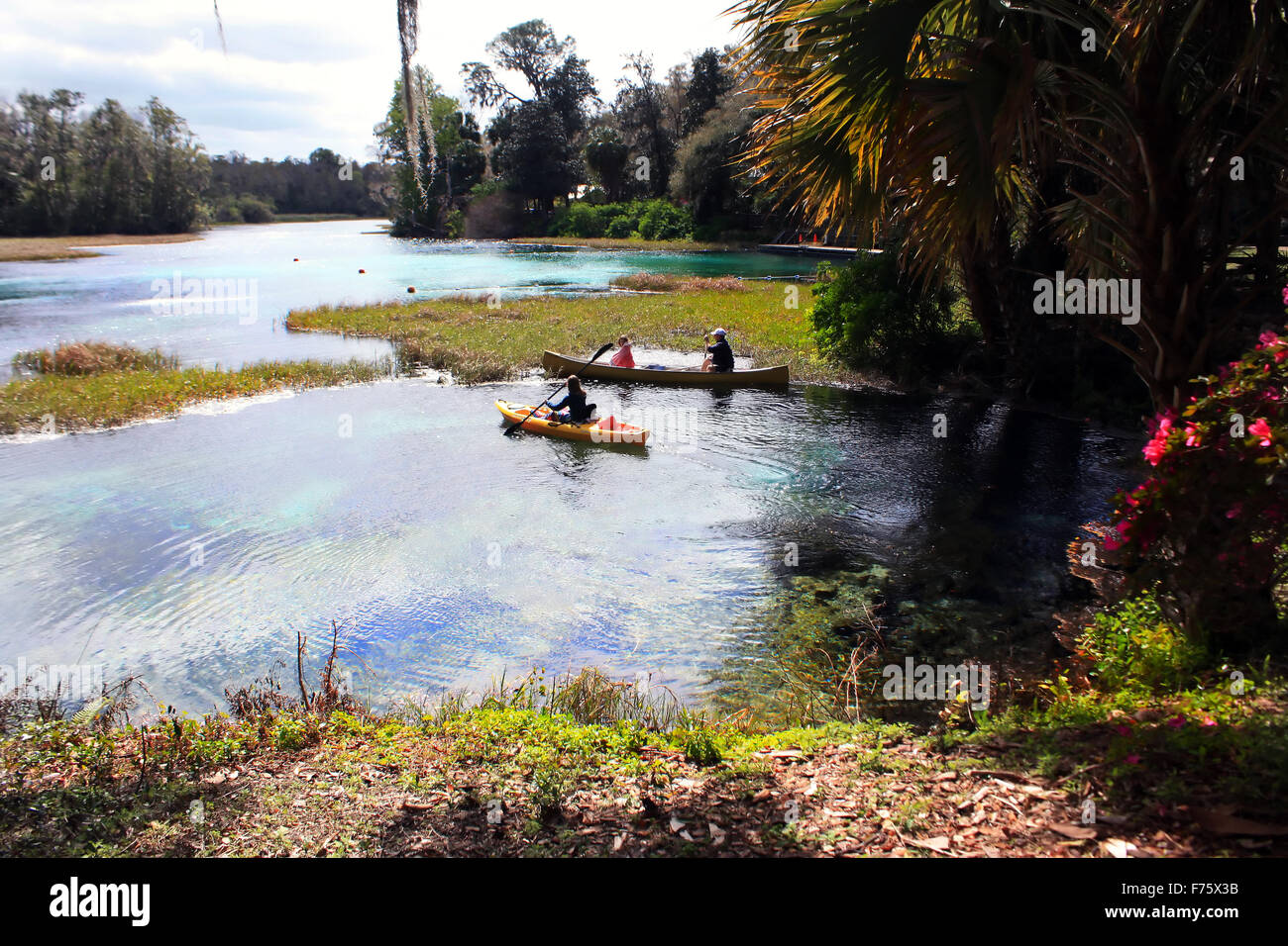 rainbow springs state park Stock Photo - Alamy