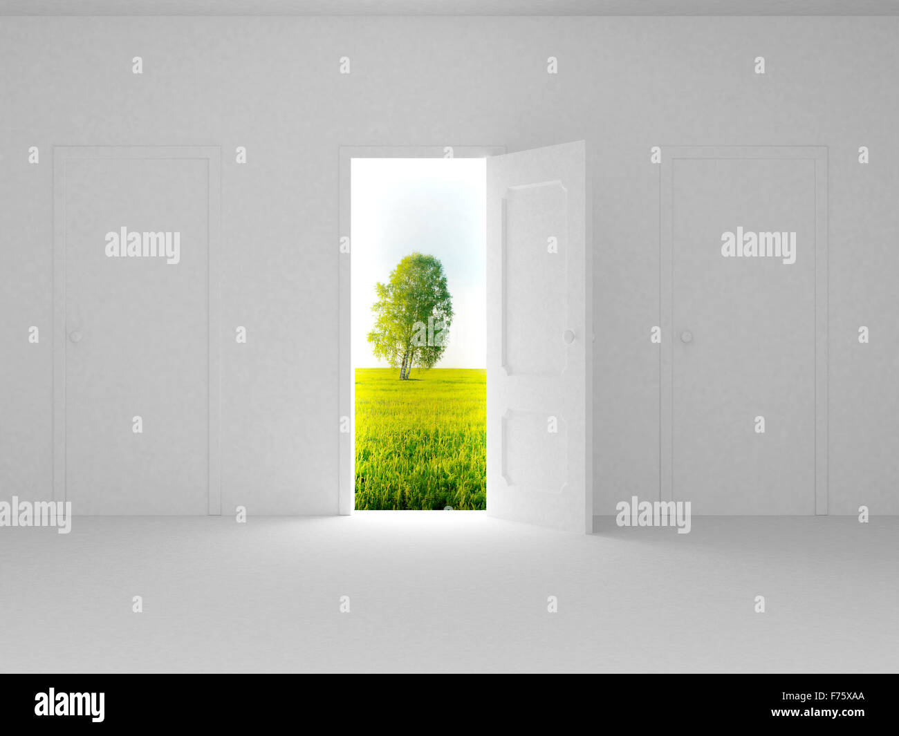 Landscape behind the open door. 3D image Stock Photo - Alamy