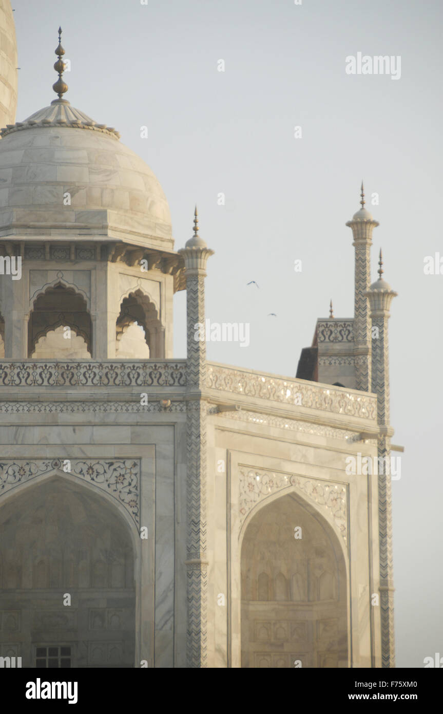 Taj Mahal Dome Close-up Stock Photo - Alamy