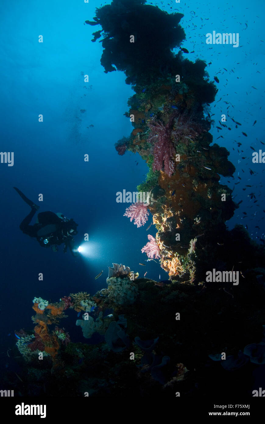 Diver with Light on Forward Mast Stock Photo - Alamy