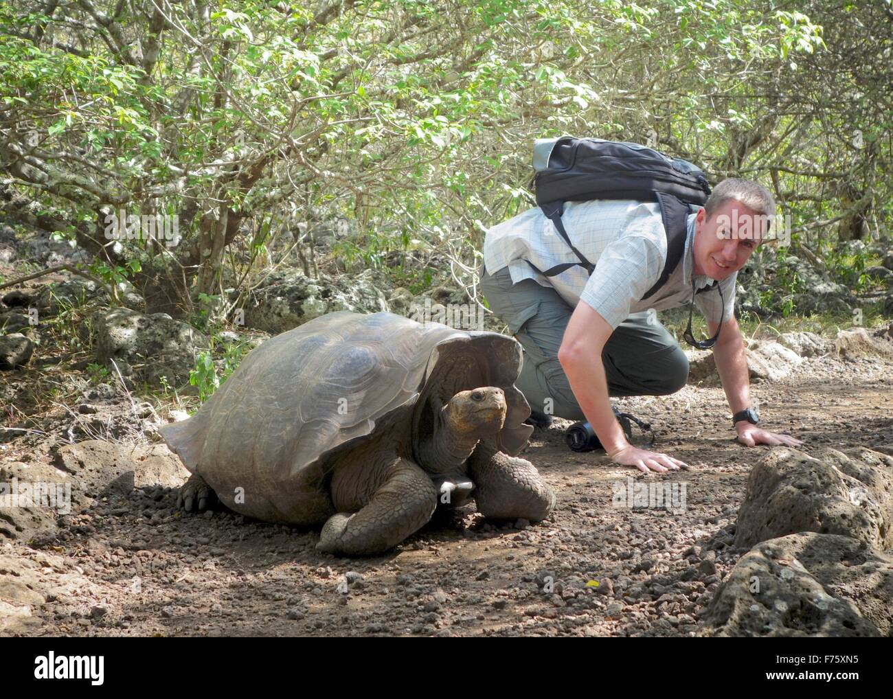 A tourist poses for a photo together with a giant Galapagos Tortoise in ...
