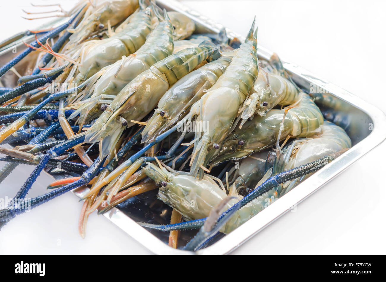 Giant prawn hi-res stock photography and images - Alamy