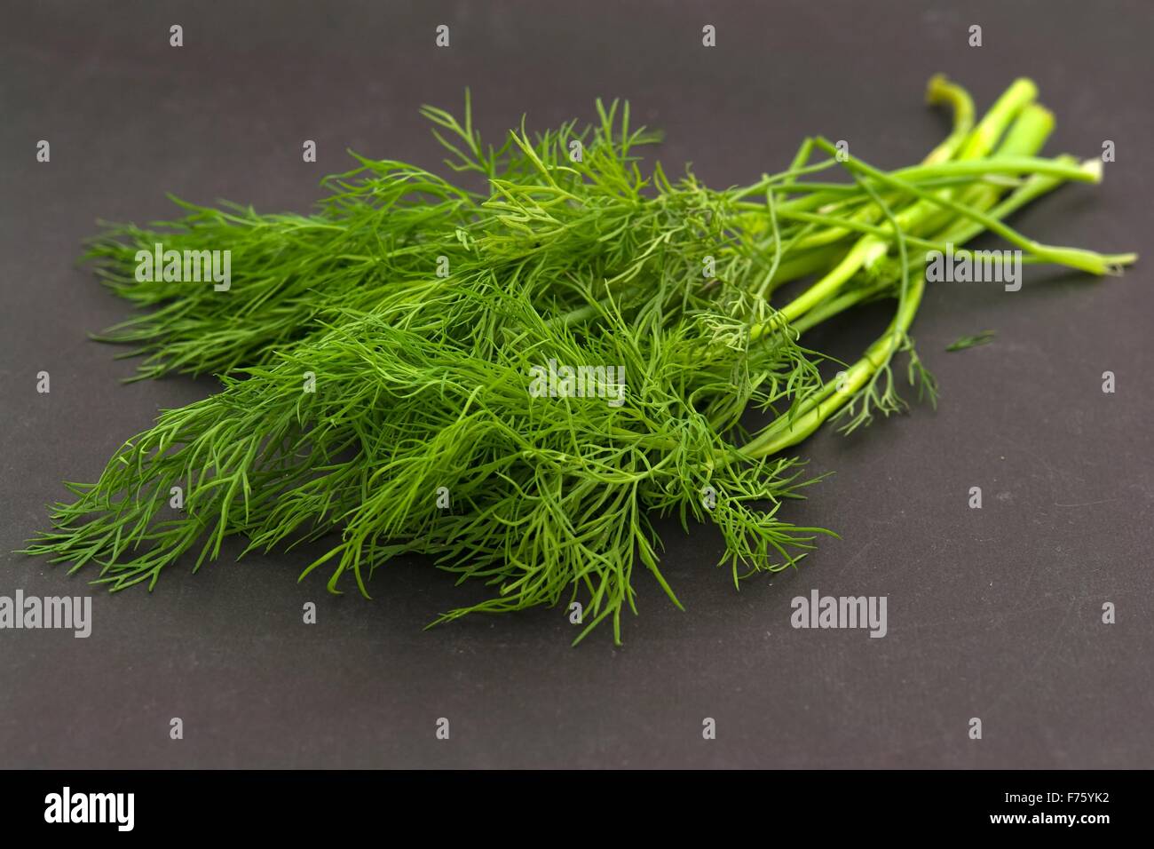 Fresh green dill Stock Photo - Alamy