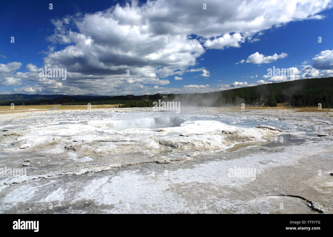 The scenery of Lower Geyser Basin in Yellowstone Stock Photo - Alamy