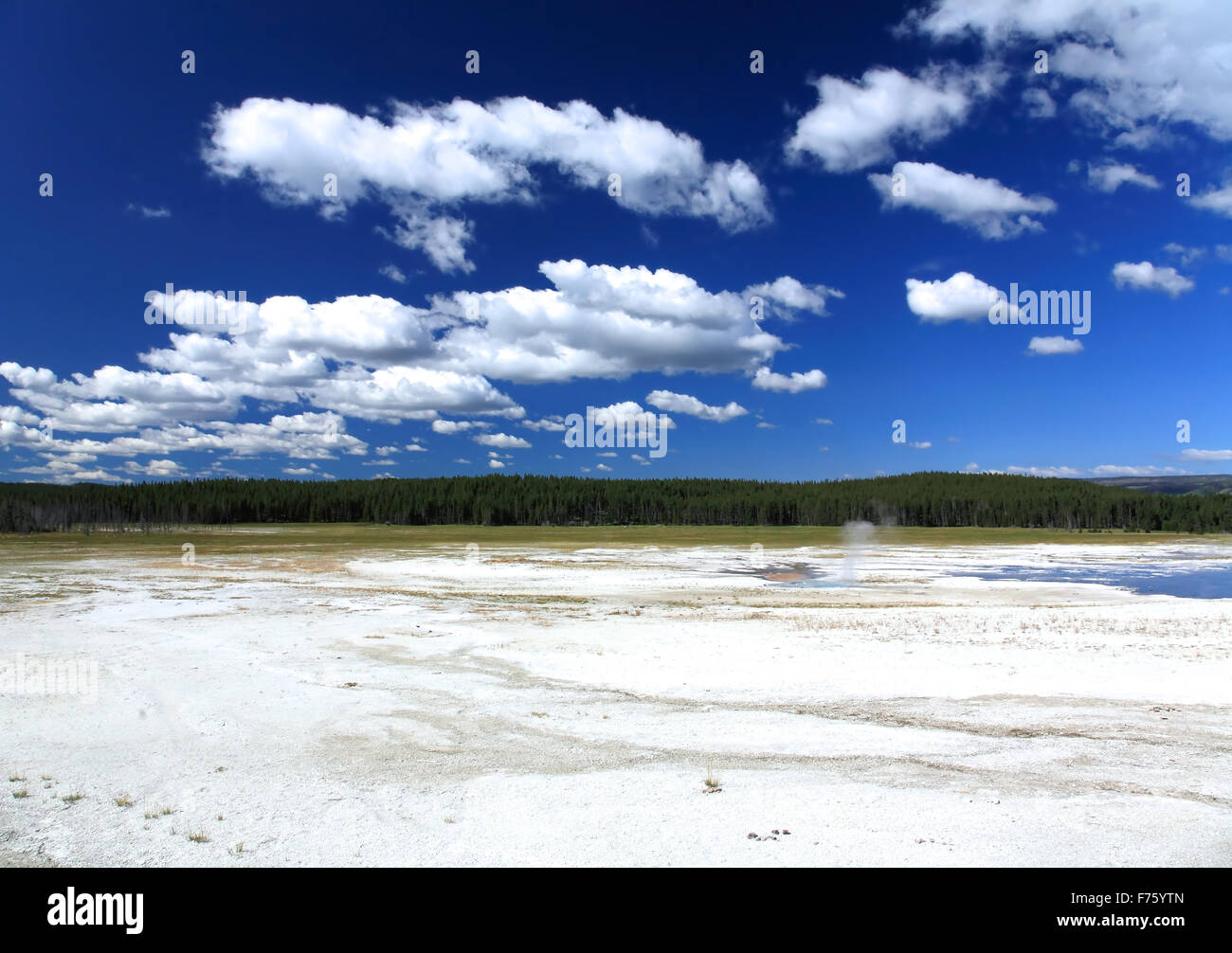 The scenery of Lower Geyser Basin in Yellowstone Stock Photo - Alamy
