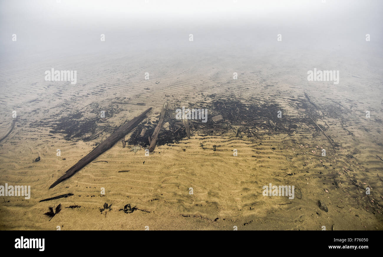 Ottawa River - shards of wood, underwater organic driftwood debris ...