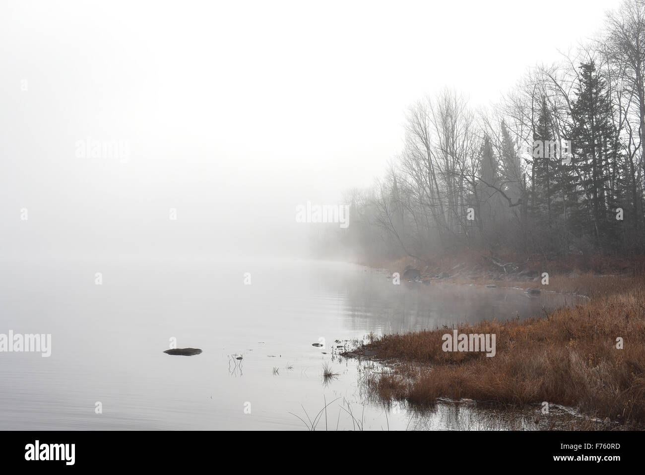 Dense fog moving slowly along the river, diffused bright sunlight Stock ...
