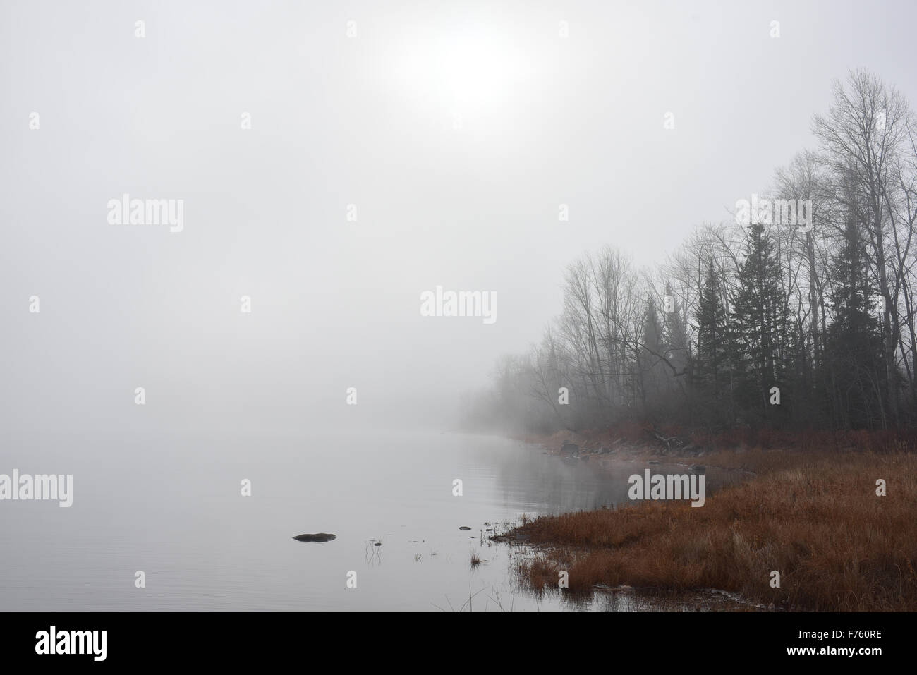 Dense fog moving slowly along the river, diffused bright sunlight Stock ...
