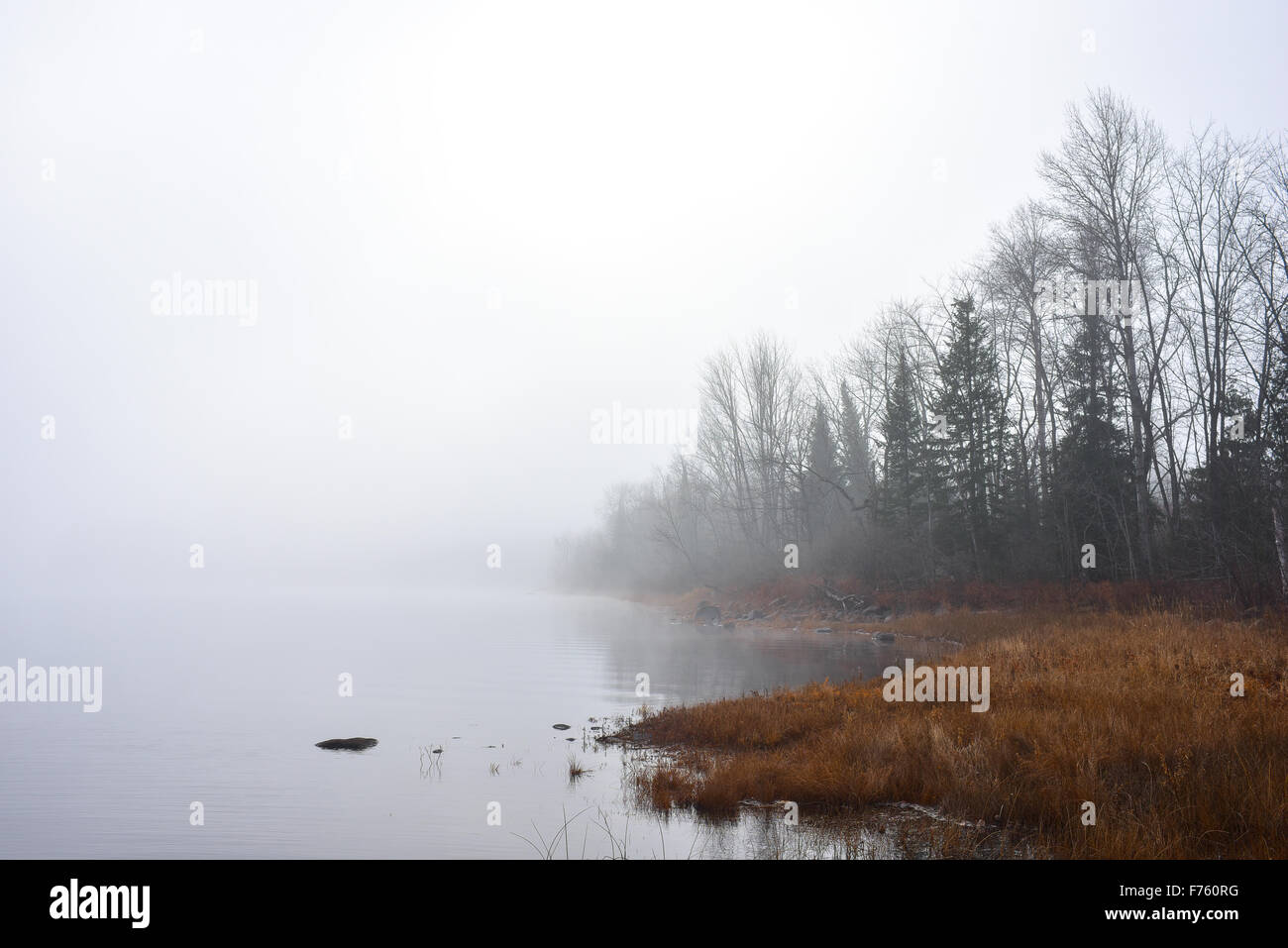 Dense fog moving slowly along the river, diffused bright sunlight Stock ...