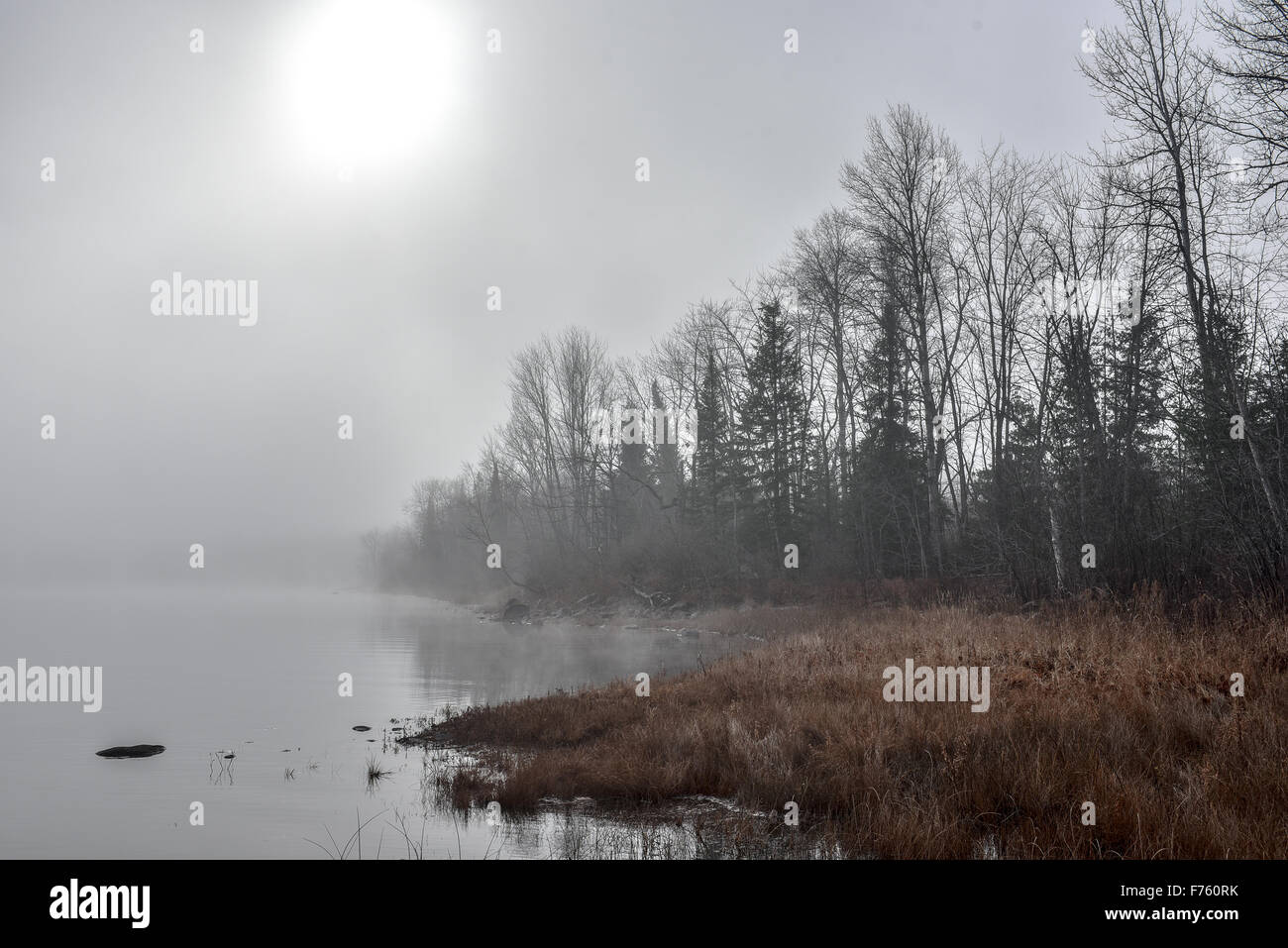Dense fog moving slowly along the river, diffused bright sunlight Stock ...