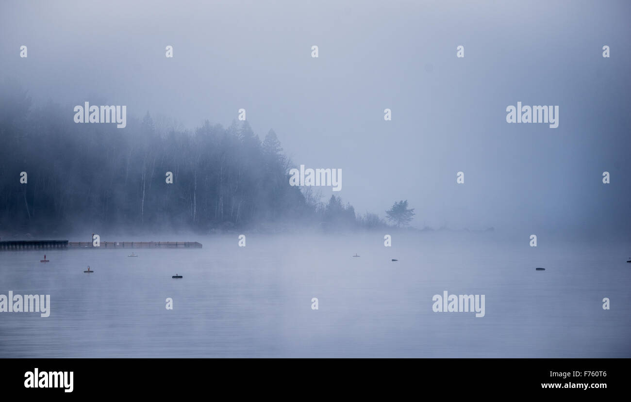 Dense Heavy Fog shrouding peninsular forest - mist rising from Ottawa ...