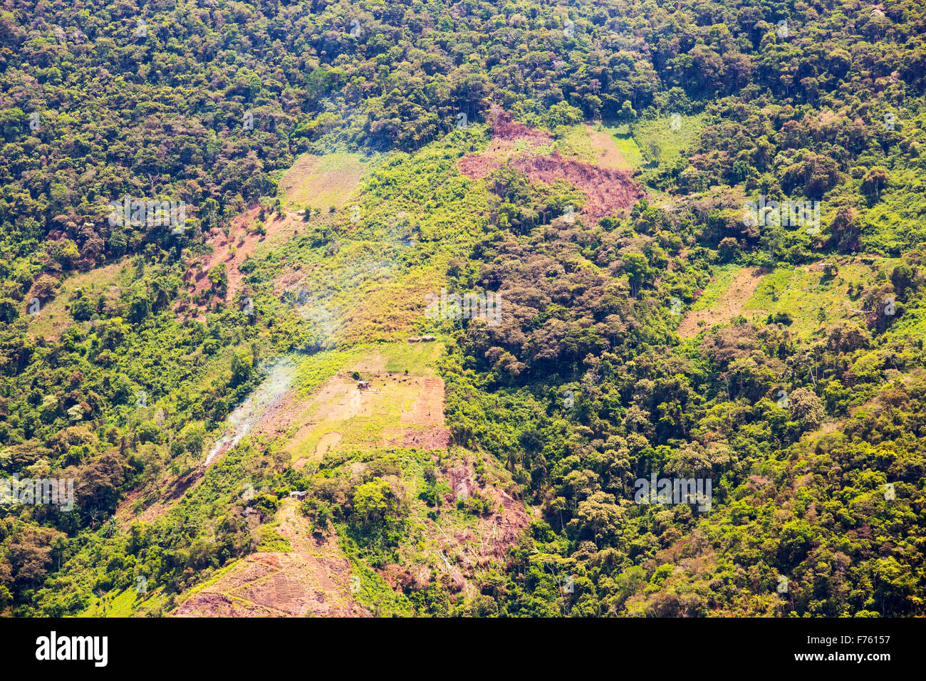 Tropical mountain forest in Bolivia near Coiroca, being deforested for ...