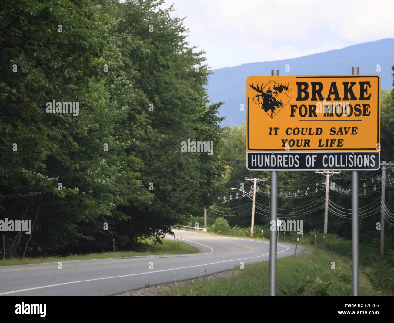 Road sign warning for moose crossing. Brake for moose it could save ...