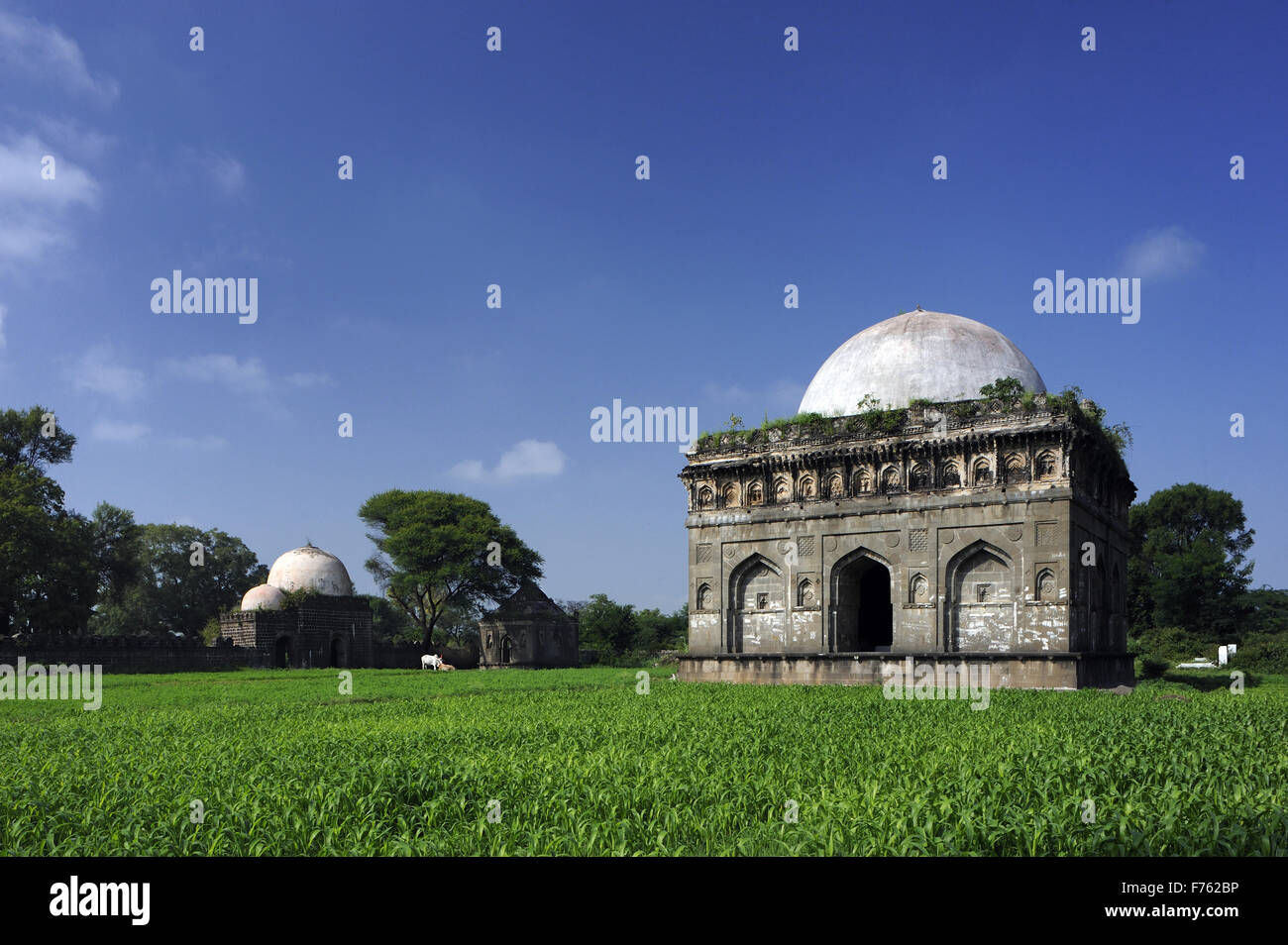Ahmed shah hi-res stock photography and images - Alamy