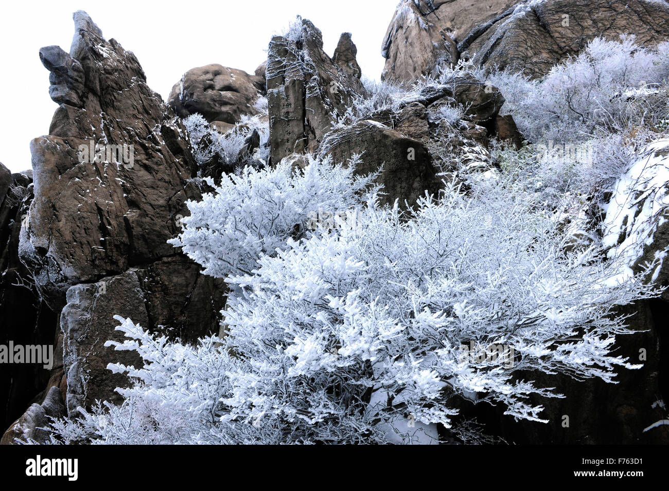Tsingtao, Shandong, CHN. 25th Nov, 2015. Tsingtao, CHINA - November 25 ...