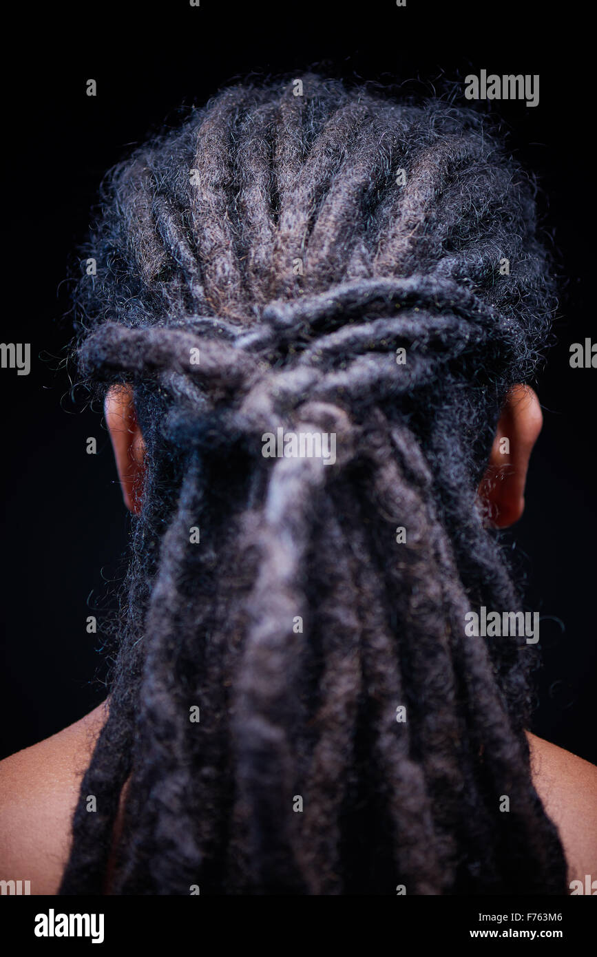 Rear view of male head with dreadlocks Stock Photo - Alamy