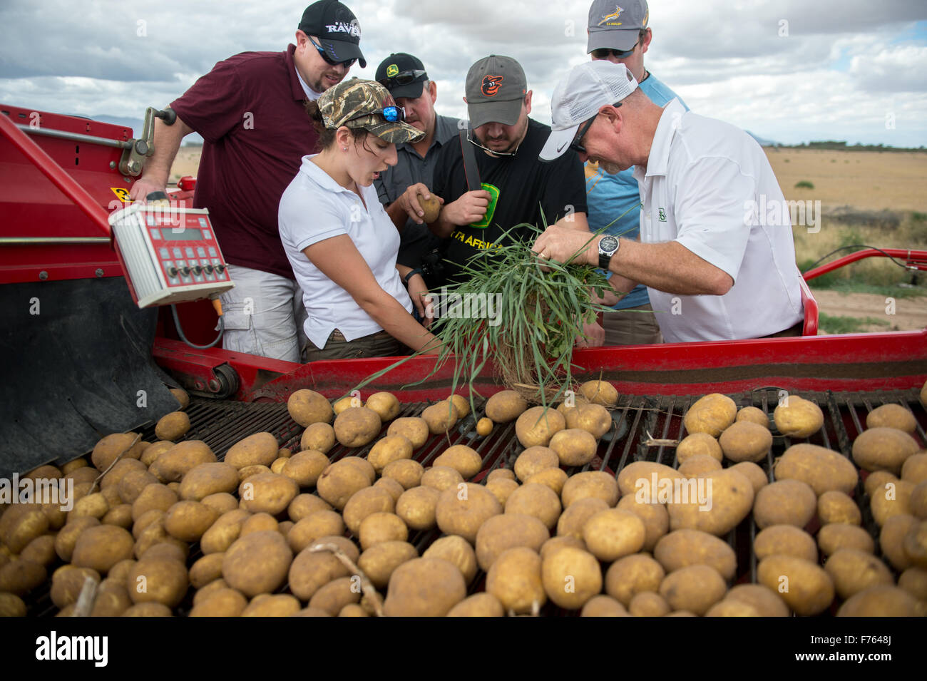 People Watching Potatoes Being Harvested On A Farm In South Africa people-watching-potatoes-being-harvested-on-a-farm-in-south-africa