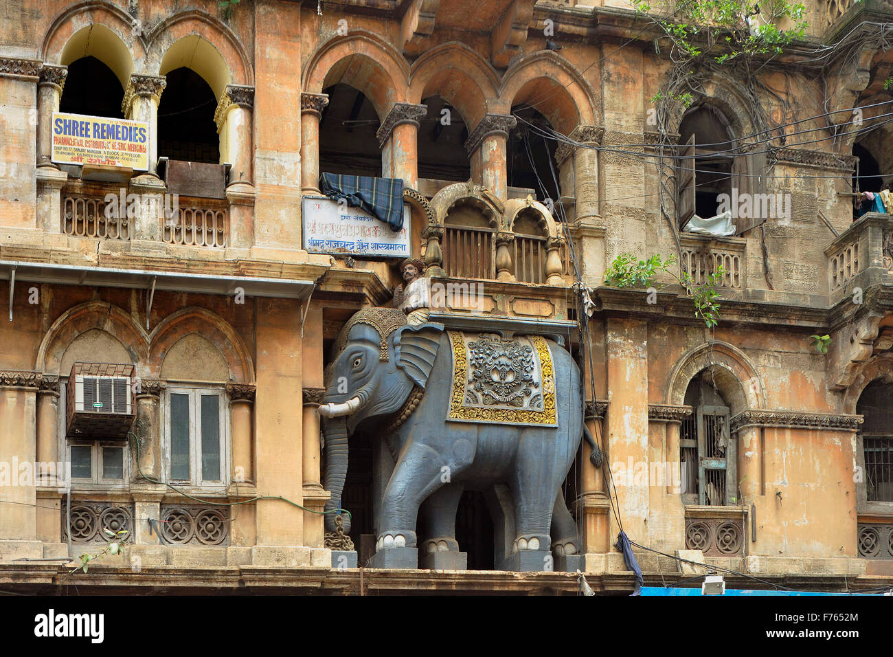 Elephant building kalbadevi bombay mumbai hi-res stock photography and ...