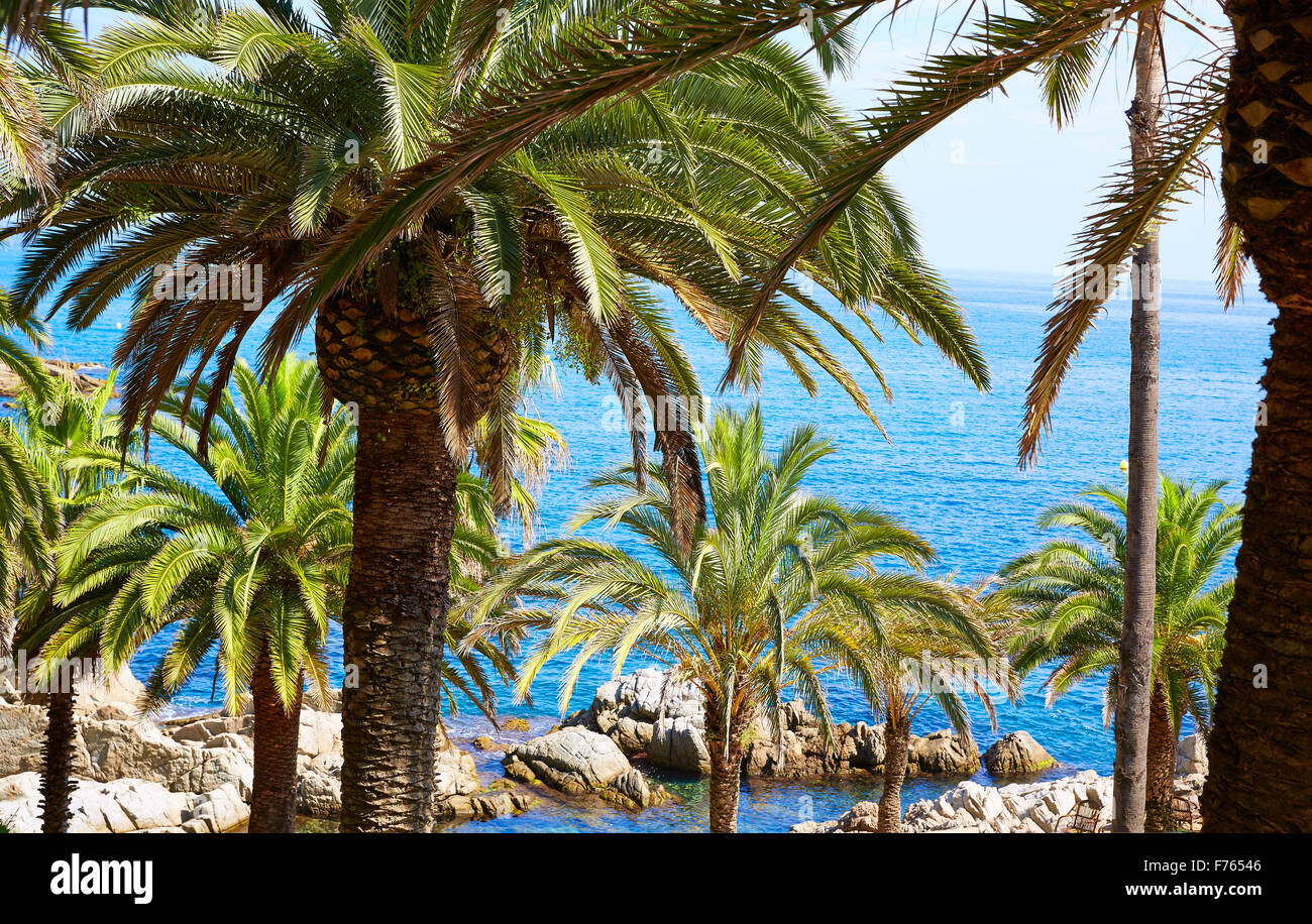 Costa Brava beach Lloret de Mar in Catalonia Cala Banys at Spain Stock ...