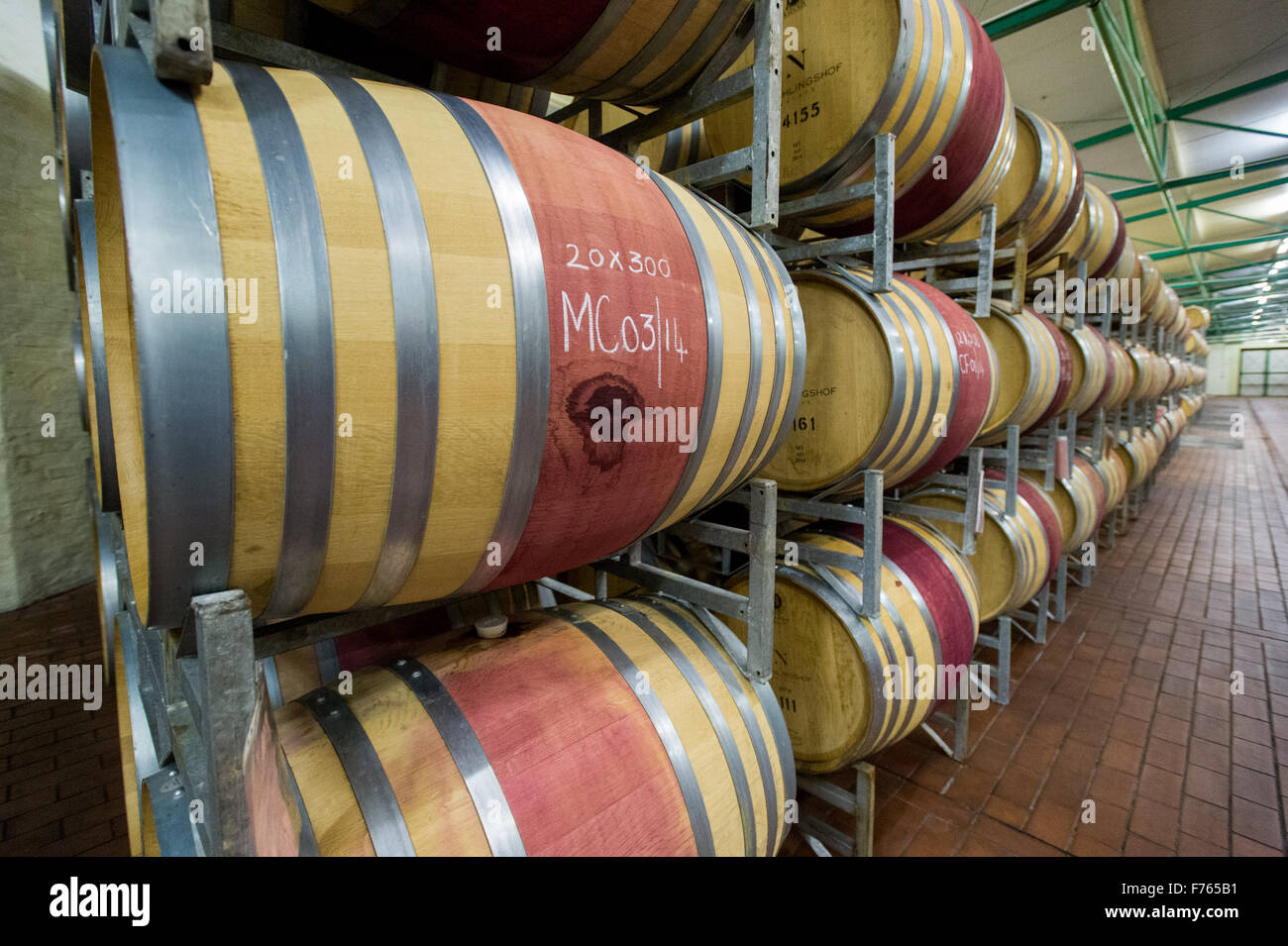 SOUTH AFRICA- Wine barrels in vineyard Stock Photo - Alamy