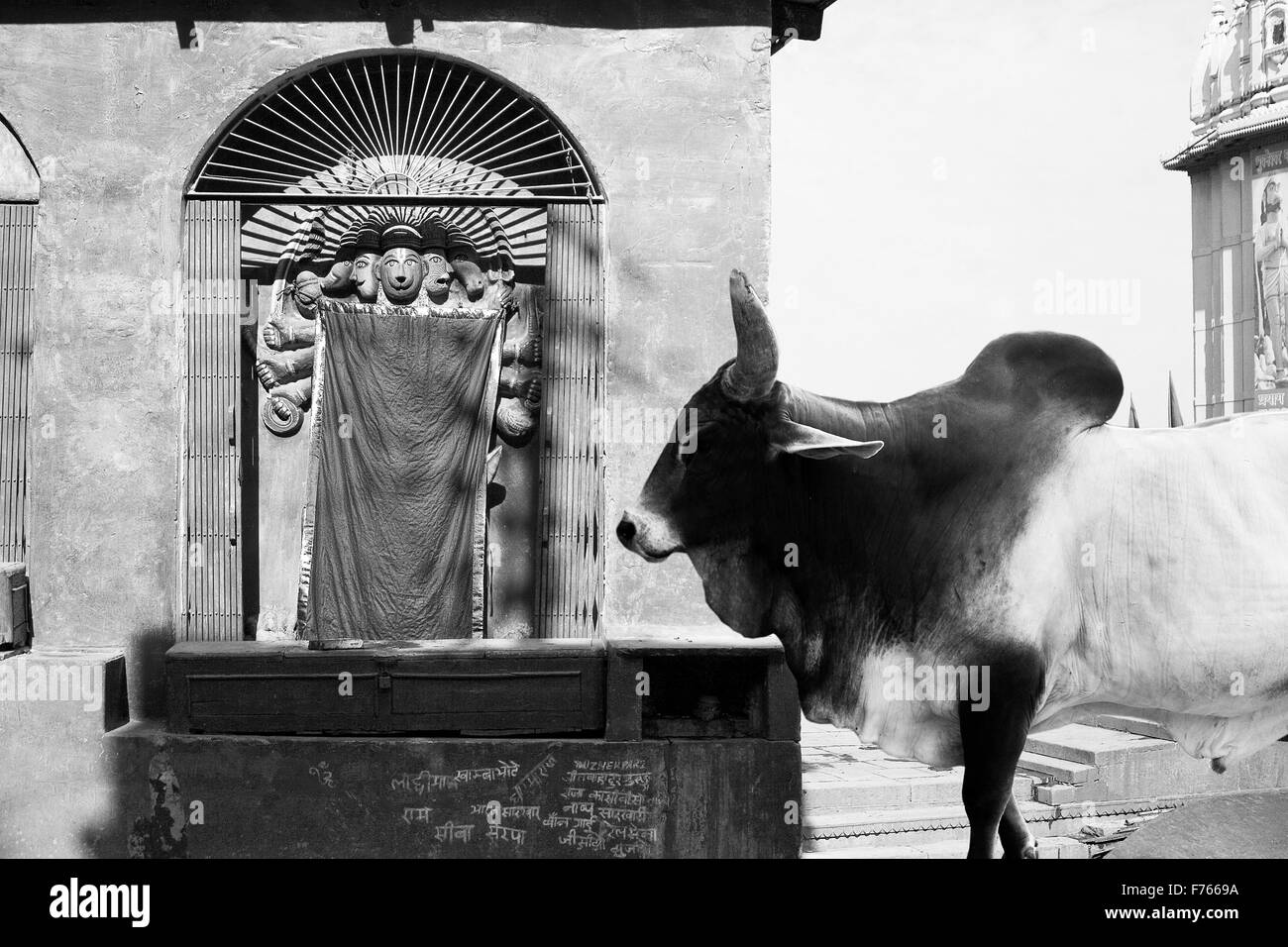 Lord hanuman temple, varanasi, uttar pradesh, india, asia Stock Photo ...