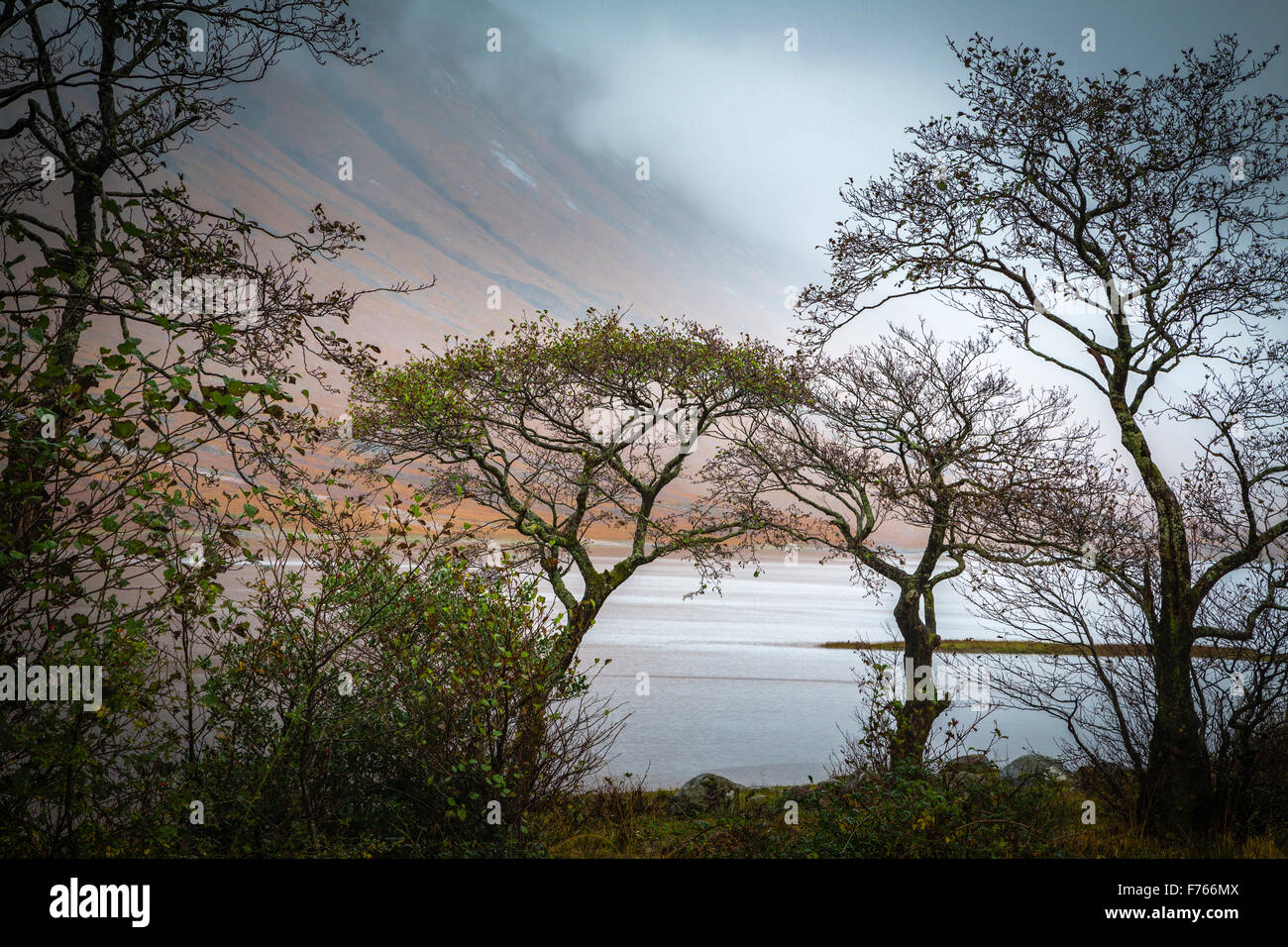 Autumn trees silhouetted against Loch Etive with low hanging rain cloud ...