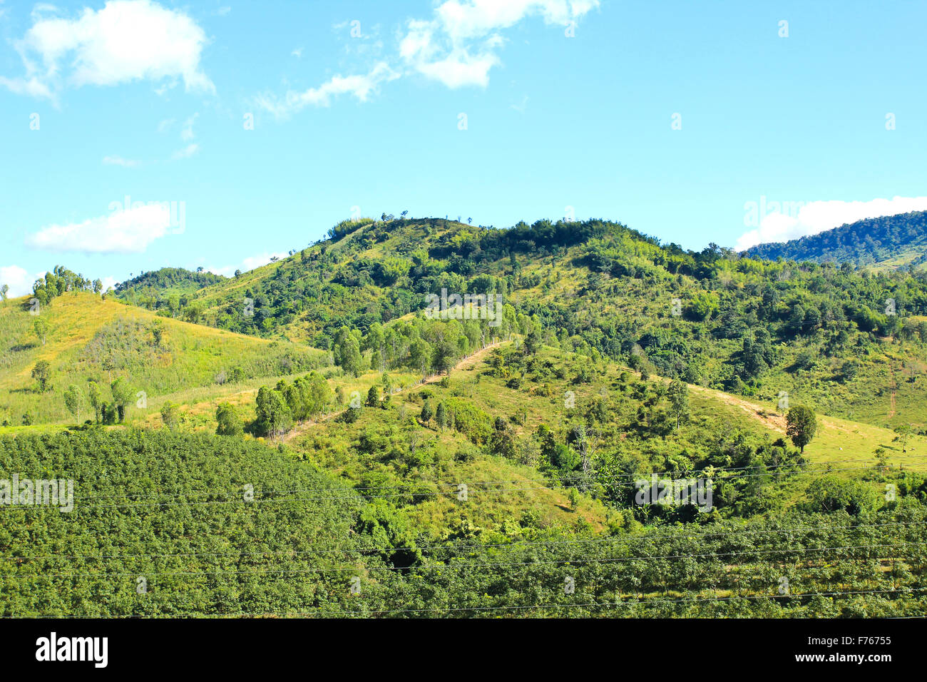 Layer green forest mountain hi-res stock photography and images - Alamy