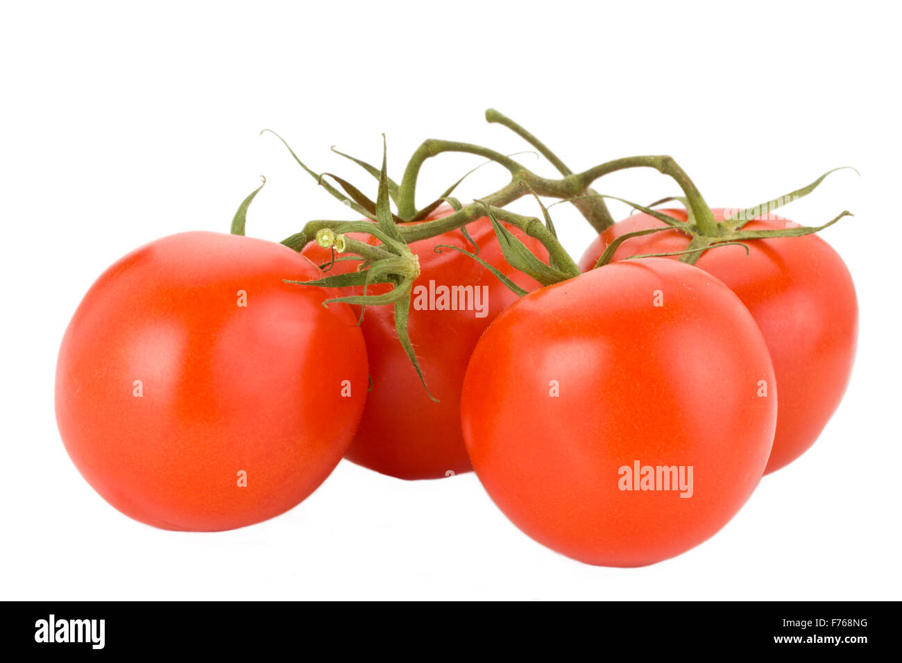 four tomatoes isolated on white background Stock Photo - Alamy