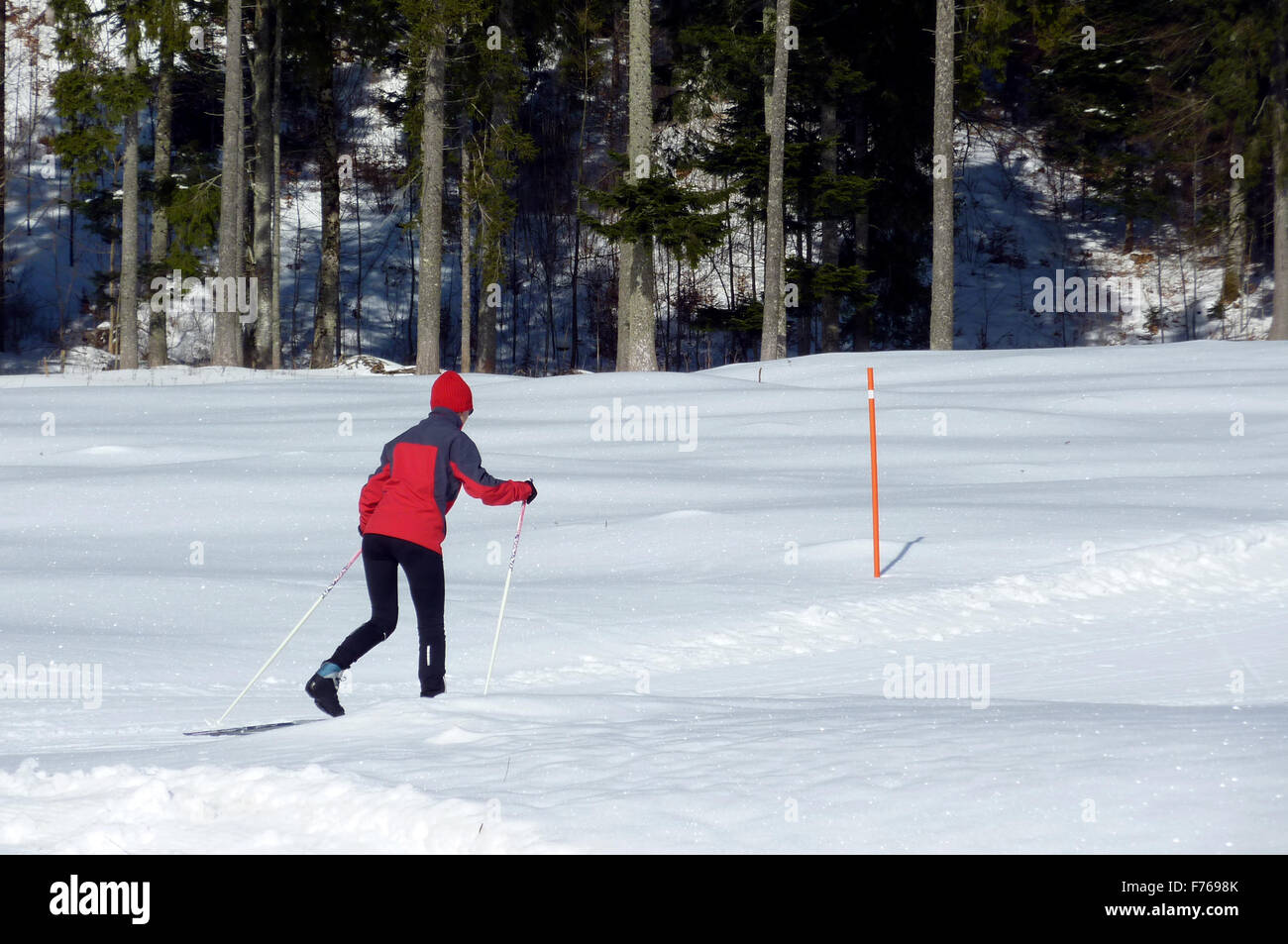 Cross country skier Stock Photo - Alamy