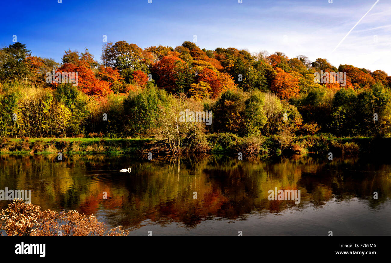 River Suir, Clonmel, Tipperary Stock Photo - Alamy
