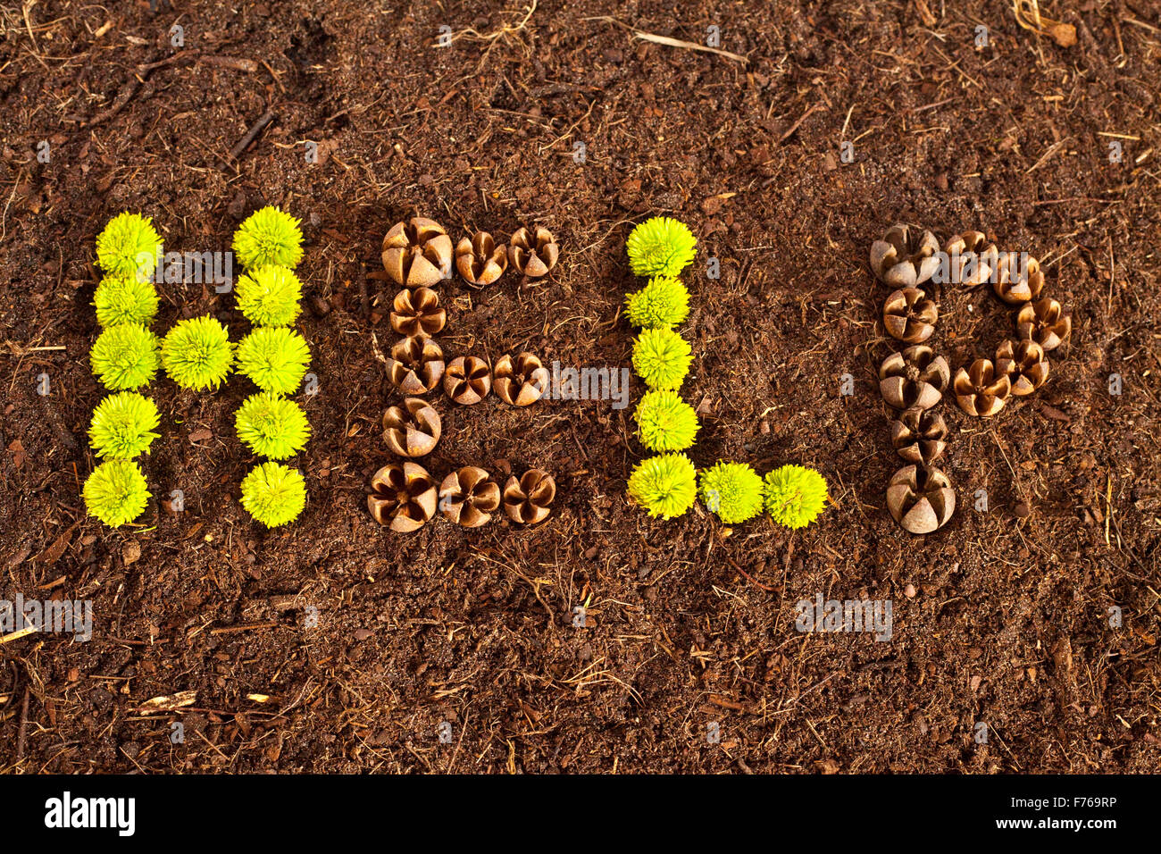 Please save energy hi-res stock photography and images - Alamy