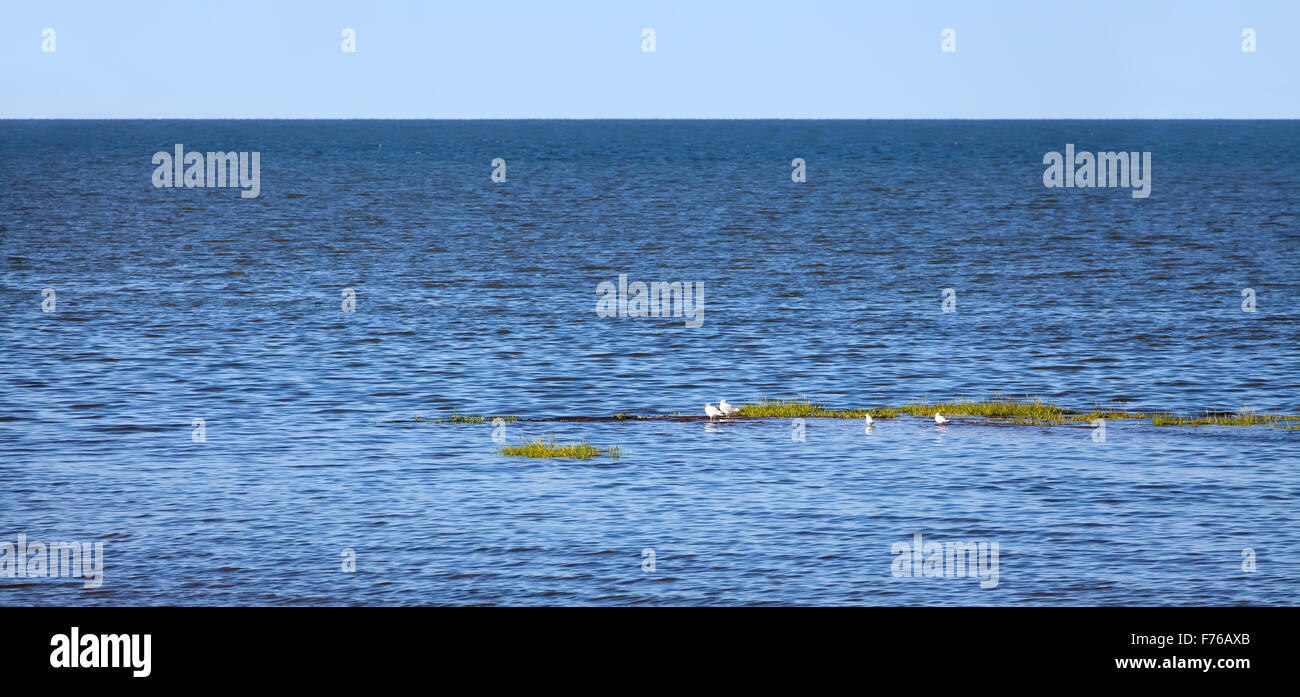 Danish wadden sea national park Stock Photo - Alamy