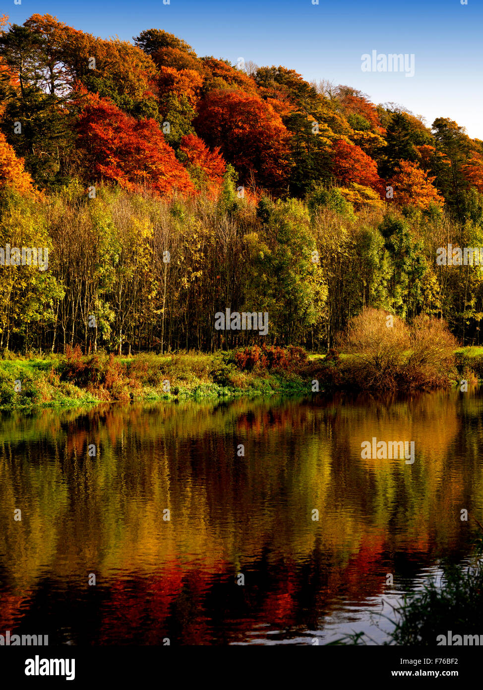 River Suir, Clonmel, Tipperary Stock Photo - Alamy